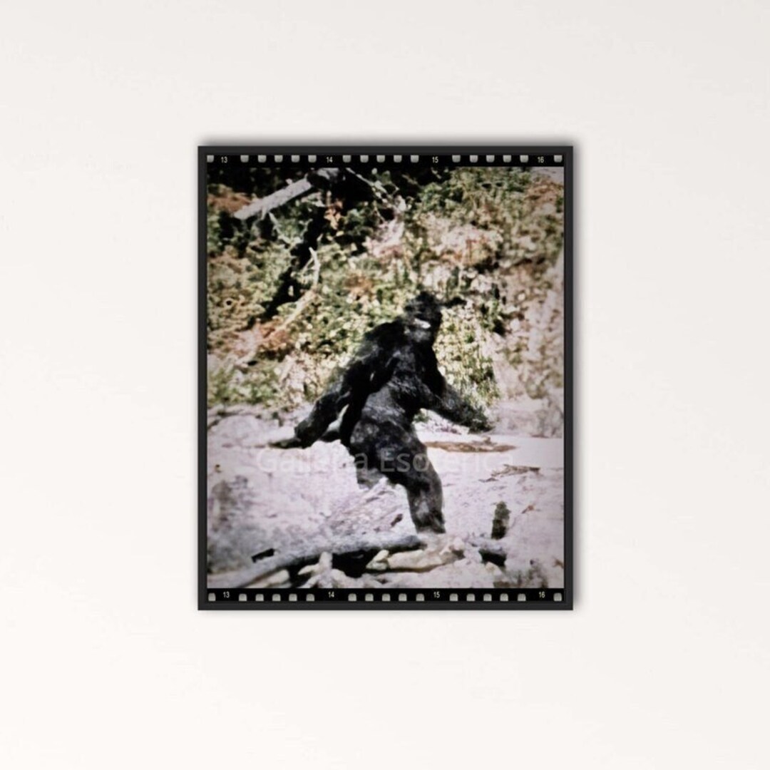 Bigfoot Sasquatch Footage Still Bigfoot 1967 Image Print - Etsy