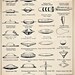 UFO Identification Chart Retro 1967 Flying Saucer Print UFO Vintage ...