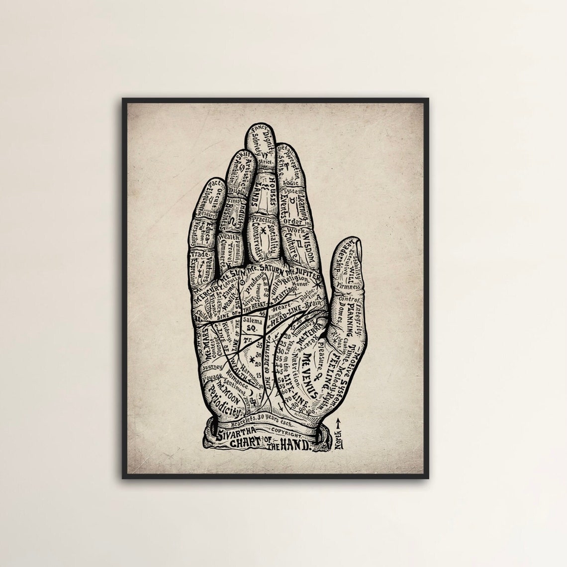 Chart of the Hand Vintage Palmistry Print Retro Aged Palm - Etsy Australia