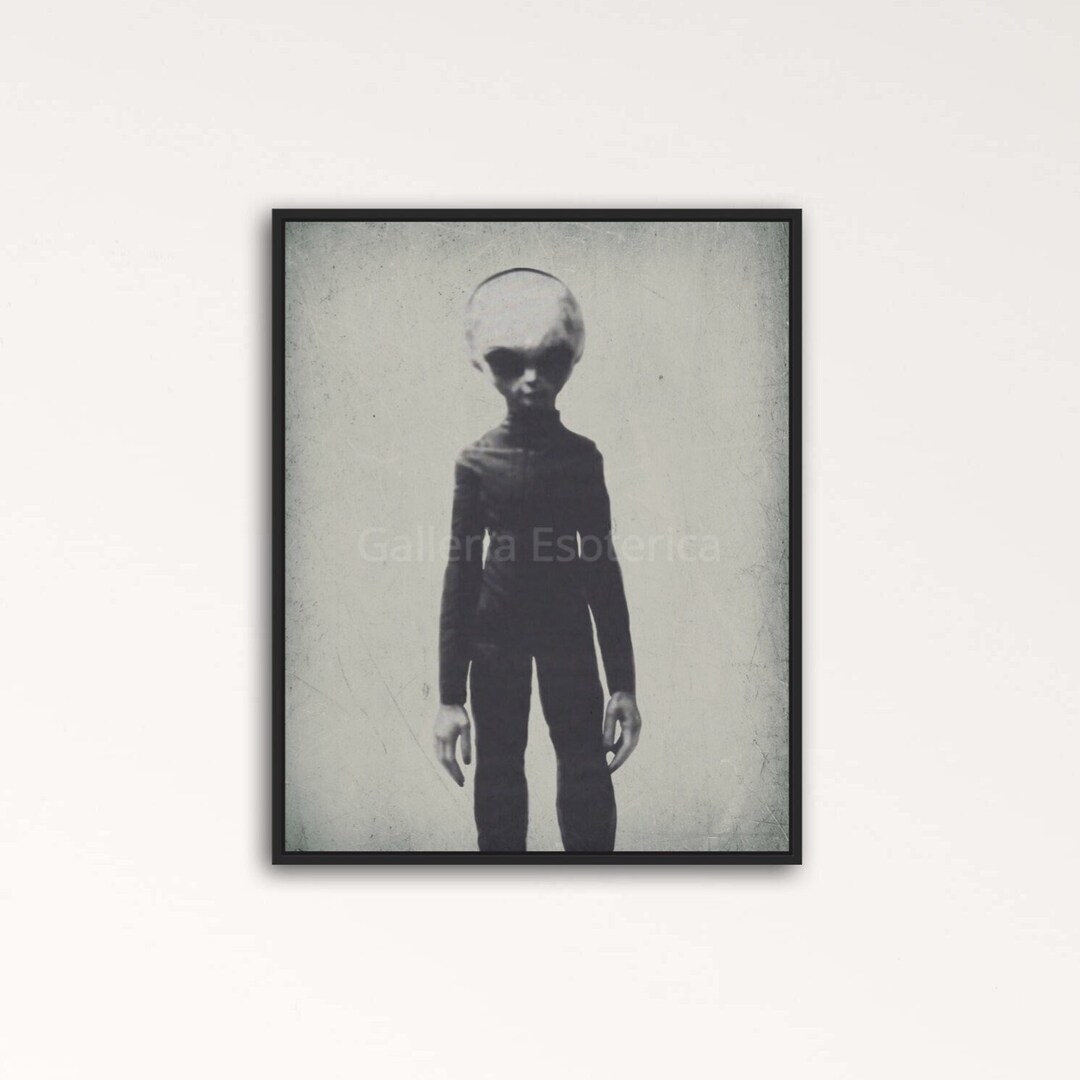 Skinny Bob Grey Außerirdischer, Eingefangener Zeta Reticuli Skinny Bob ...