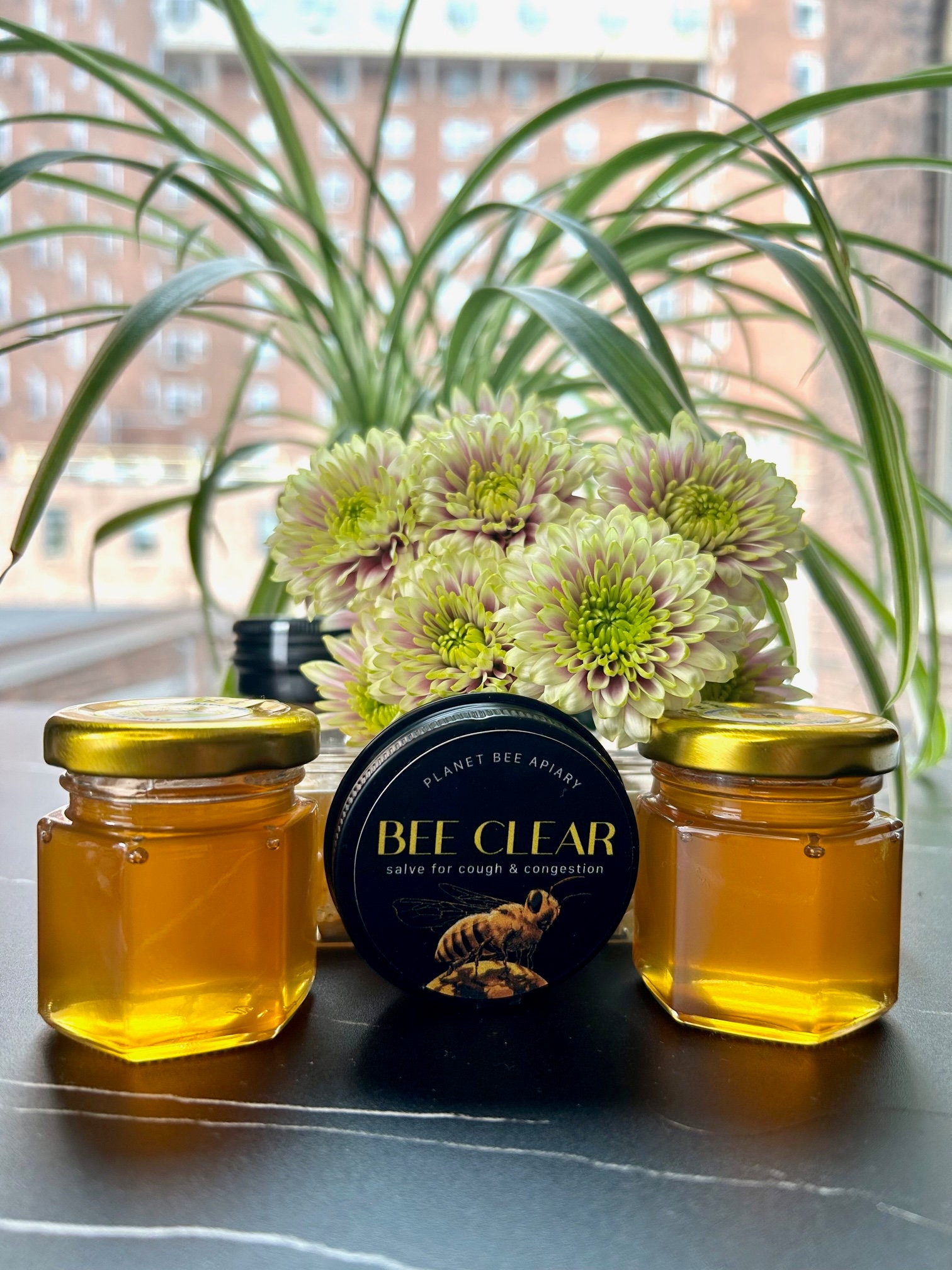 BEE SALVE, Hand Salve, Skin Care, Healing Balm, Dry Skin Salve With ...