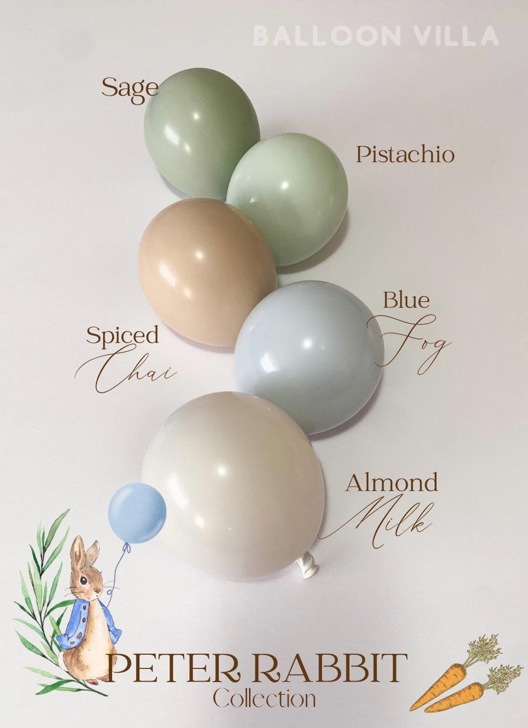 Peter Rabbit DIY Balloon Garland Arch Kit / Custom High Quality Matte ...