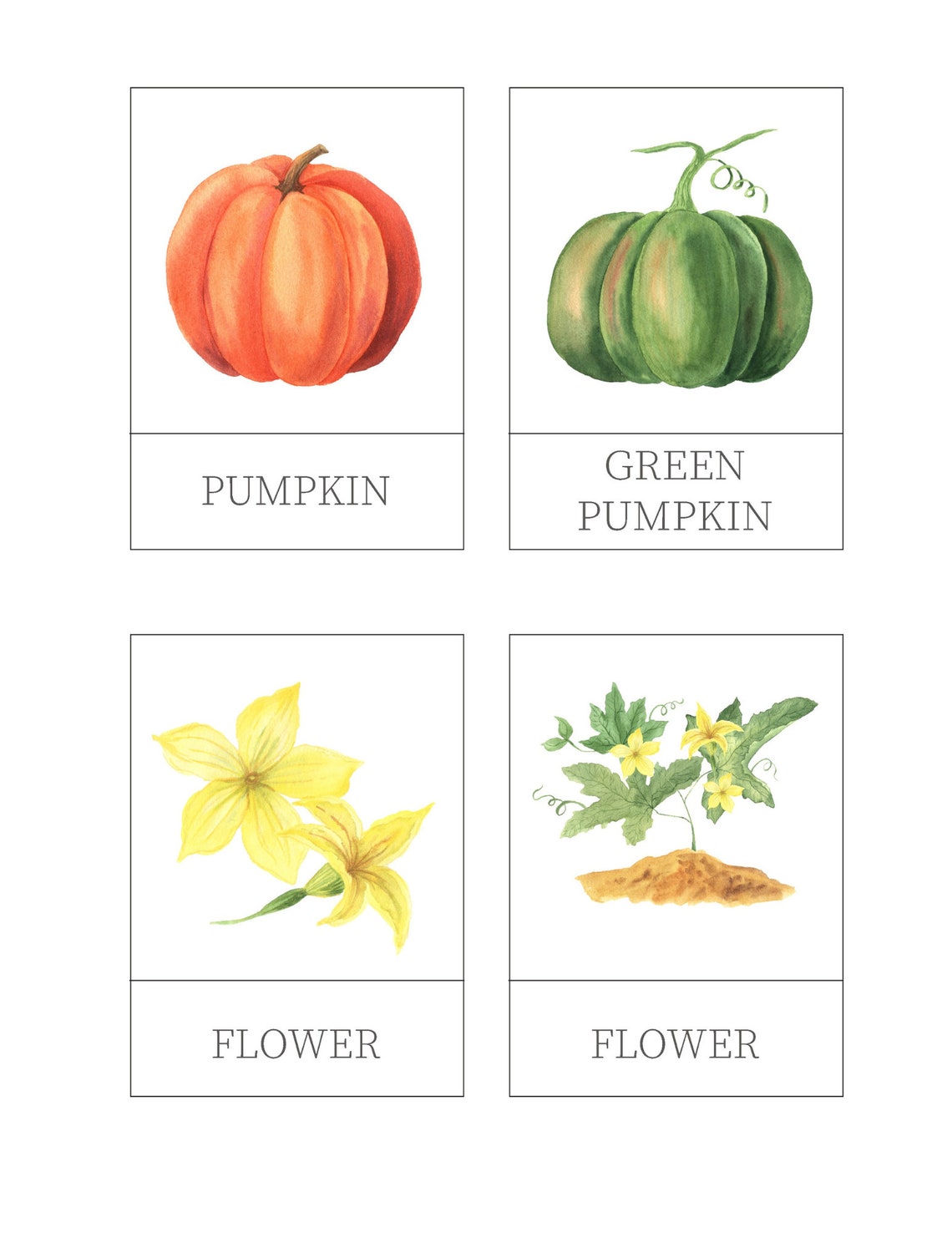 Pumpkin Unit Study Fall Worksheet Teaching Homeschool Learning ...