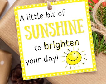 A Little Sunshine to Brighten Your Day Tag Printable Thoughtful Gift ...