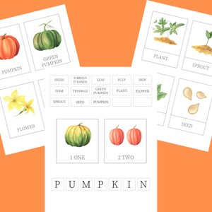 Pumpkin Unit Study Fall Worksheet Teaching Homeschool Learning ...