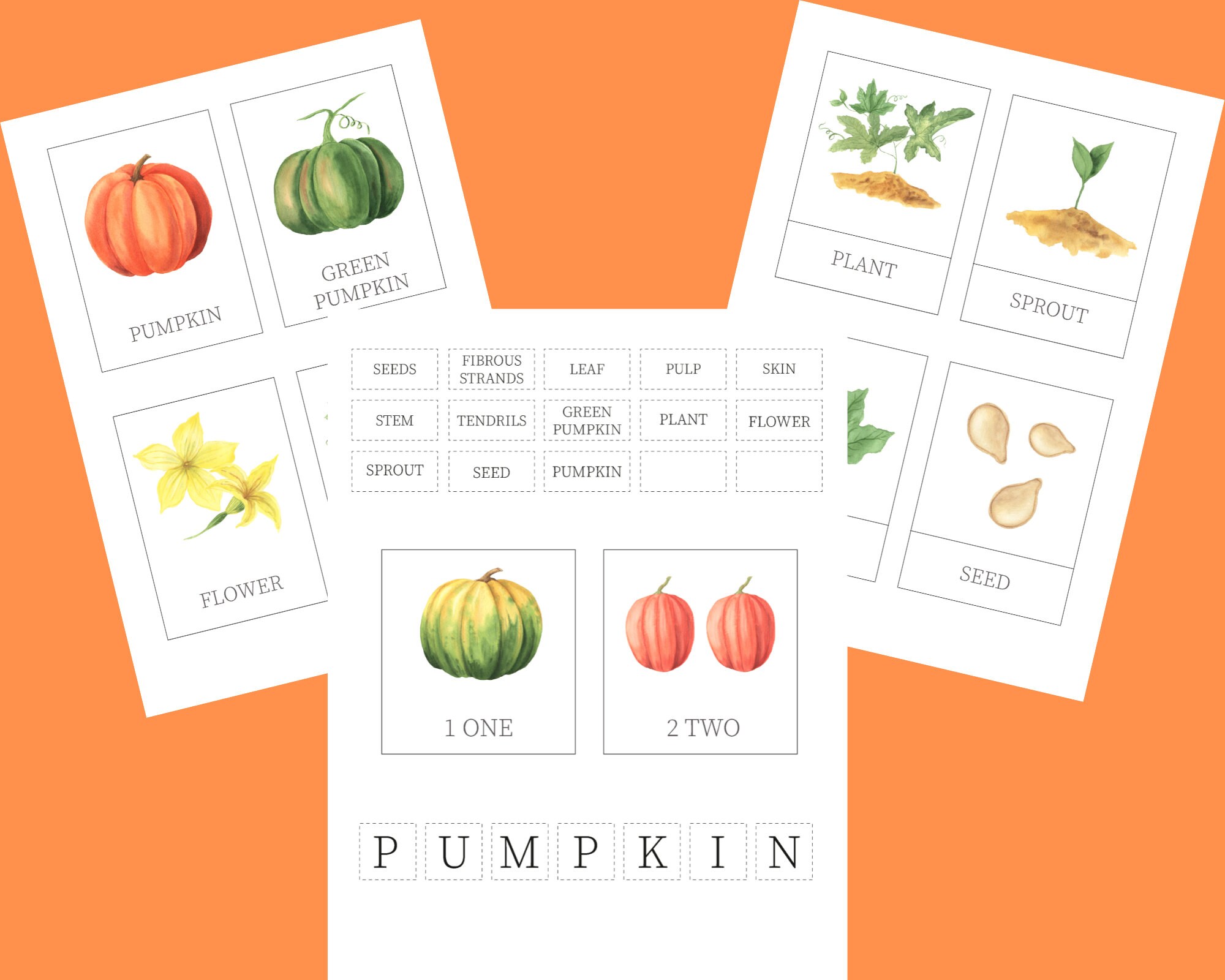 Pumpkin Unit Study Fall Worksheet Teaching Homeschool Learning ...