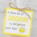 Sunshine Gift Tags: Printable Teacher Appreciation Hang Tags (digital ...