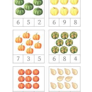 Pumpkin Unit Study Fall Worksheet Teaching Homeschool Learning ...