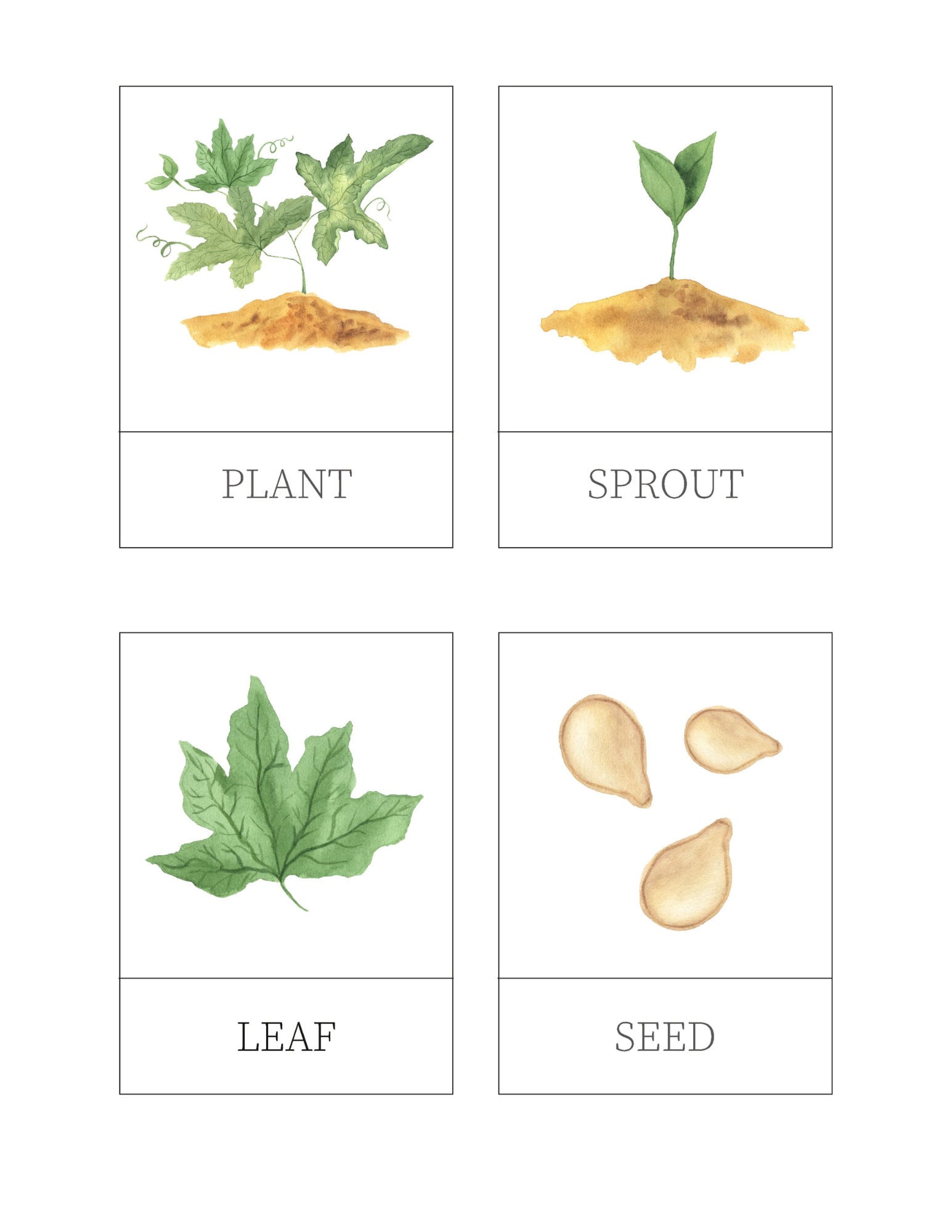 Pumpkin Unit Study Fall Worksheet Teaching Homeschool Learning ...