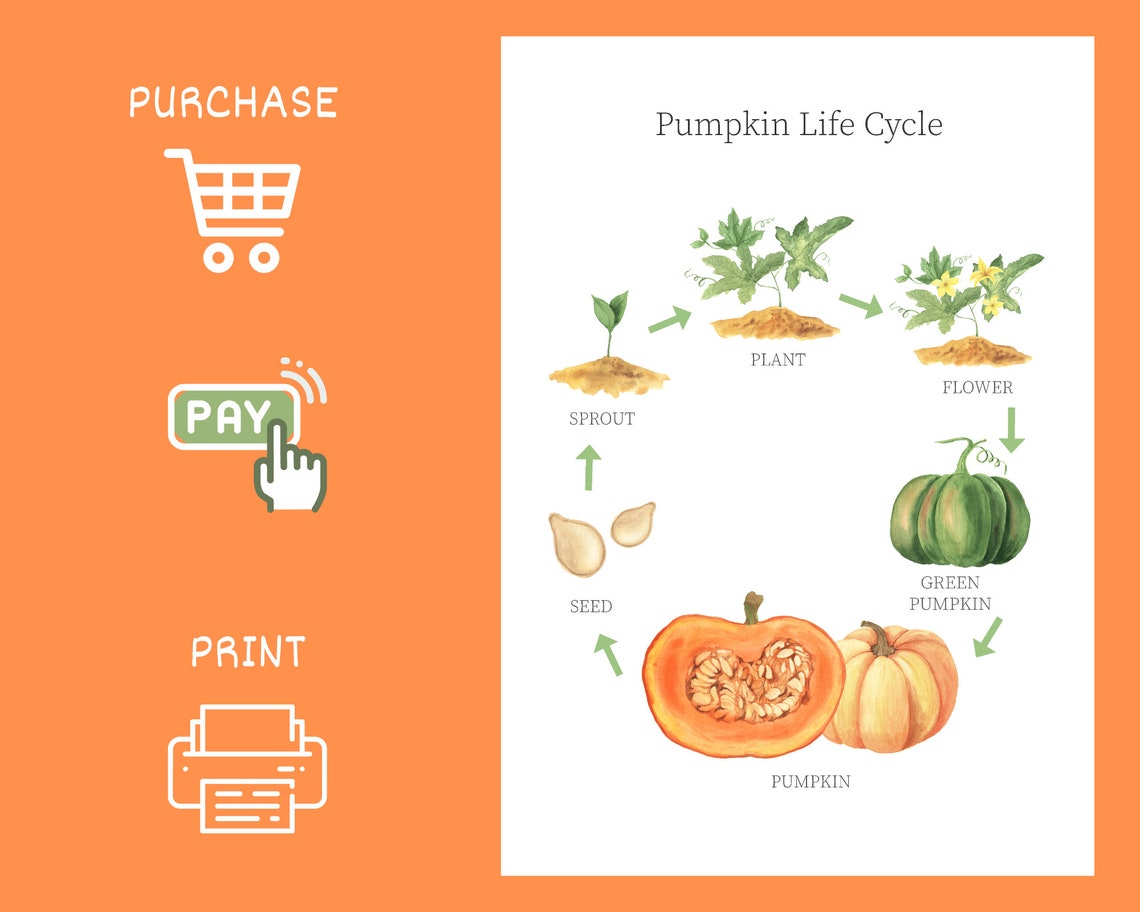 Pumpkin Unit Study Fall Worksheet Teaching Homeschool Learning ...
