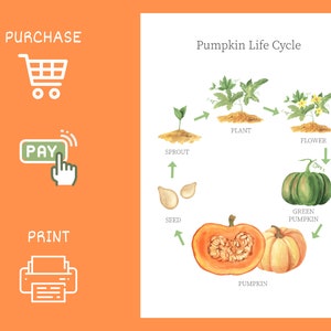 Pumpkin Unit Study Fall Worksheet Teaching Homeschool Learning ...