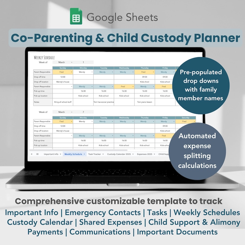 Custody Excel Template - Etsy