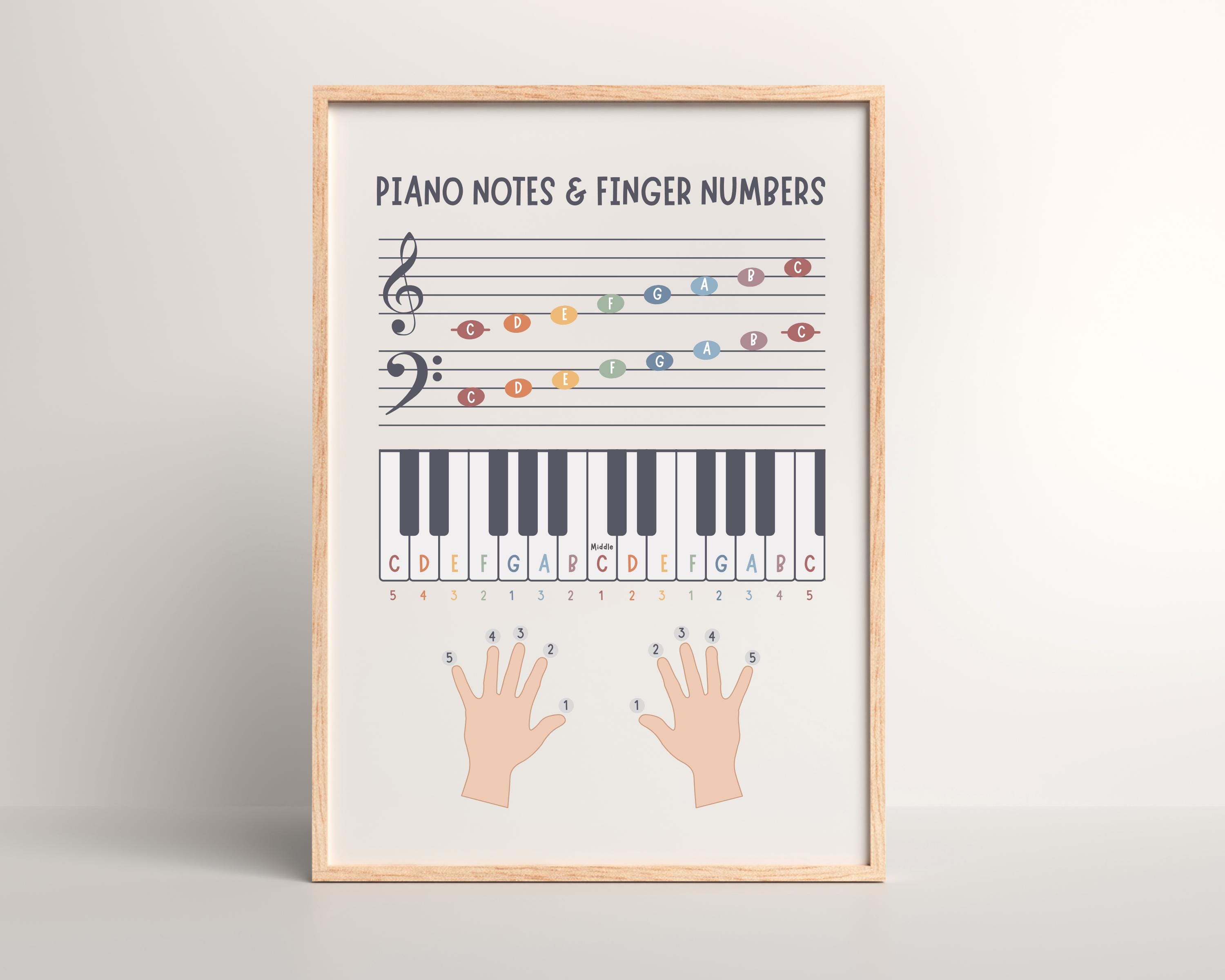 Piano Notes & Finger Numbers Poster and Worksheet, Piano Music Theory ...