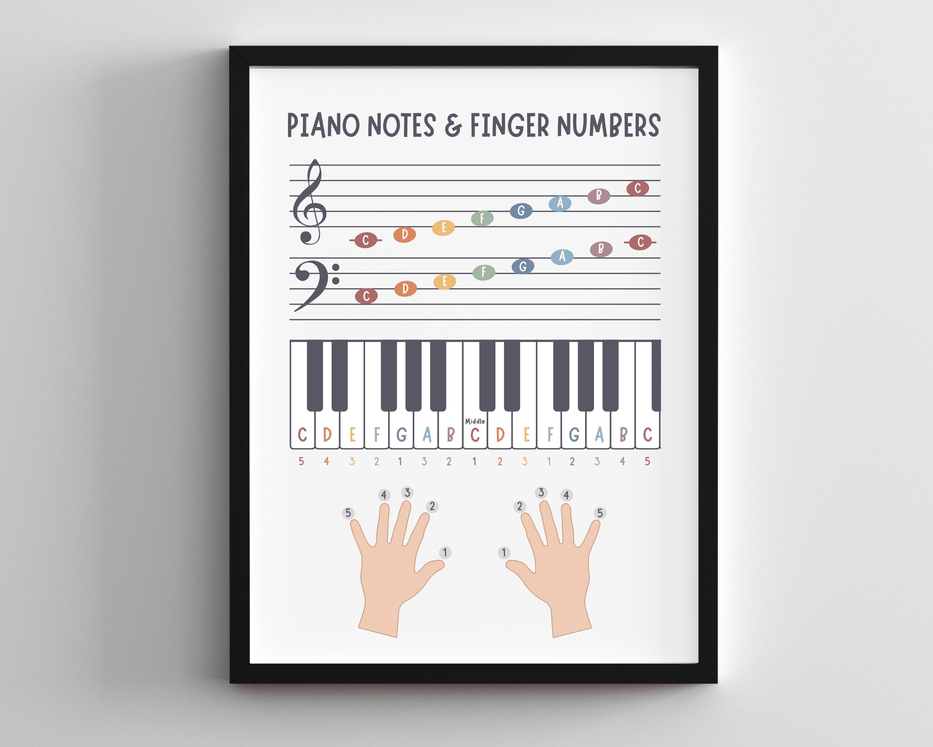 Piano Notes & Finger Numbers Poster and Worksheet, Piano Music Theory ...