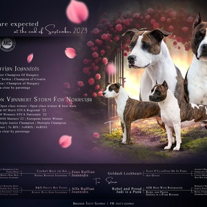 Custom Graphic Design for Breeders | Kennel Owners | Stud Dog | Litter ...