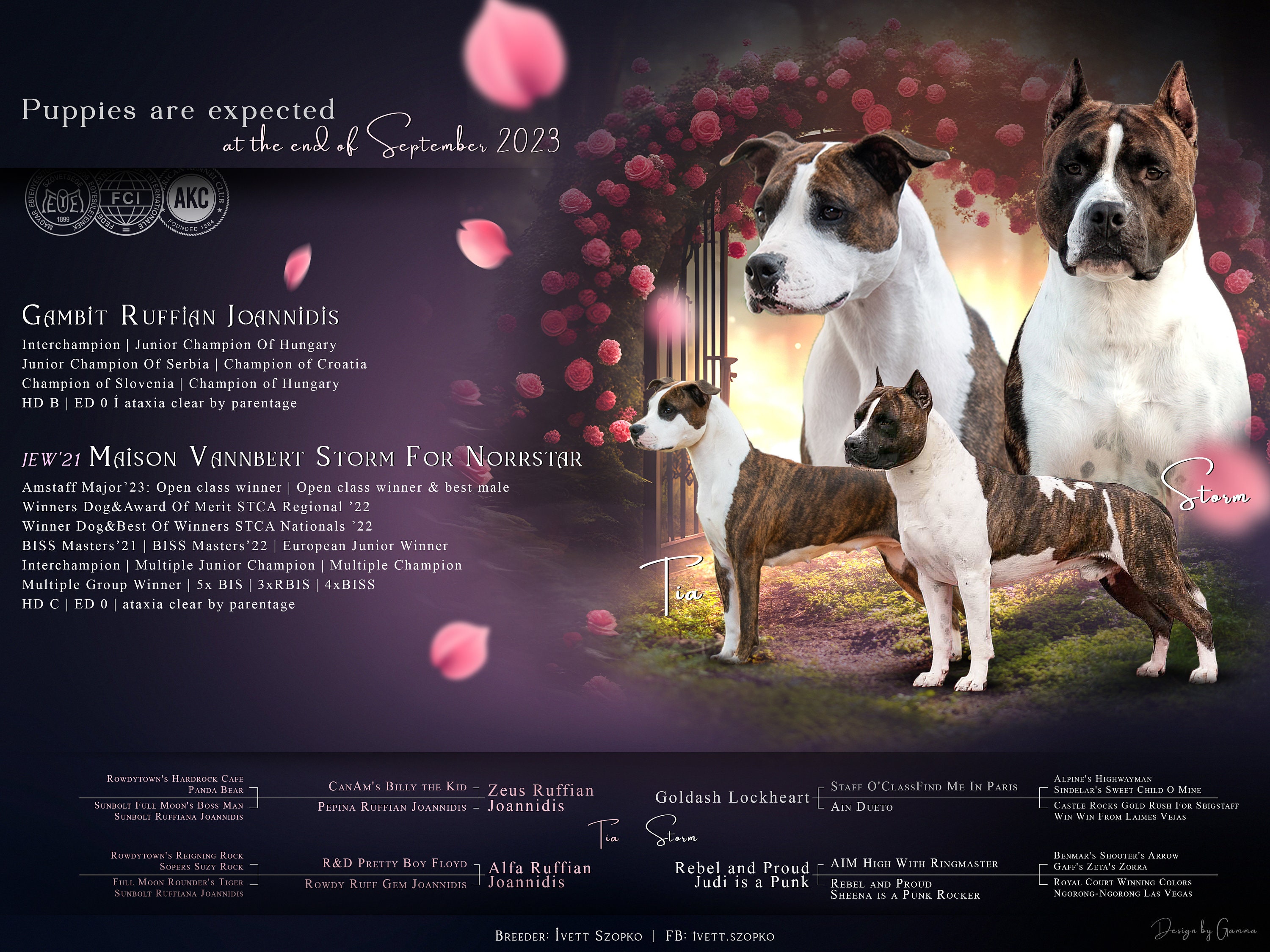 Custom Graphic Design for Breeders | Kennel Owners | Stud Dog | Litter ...