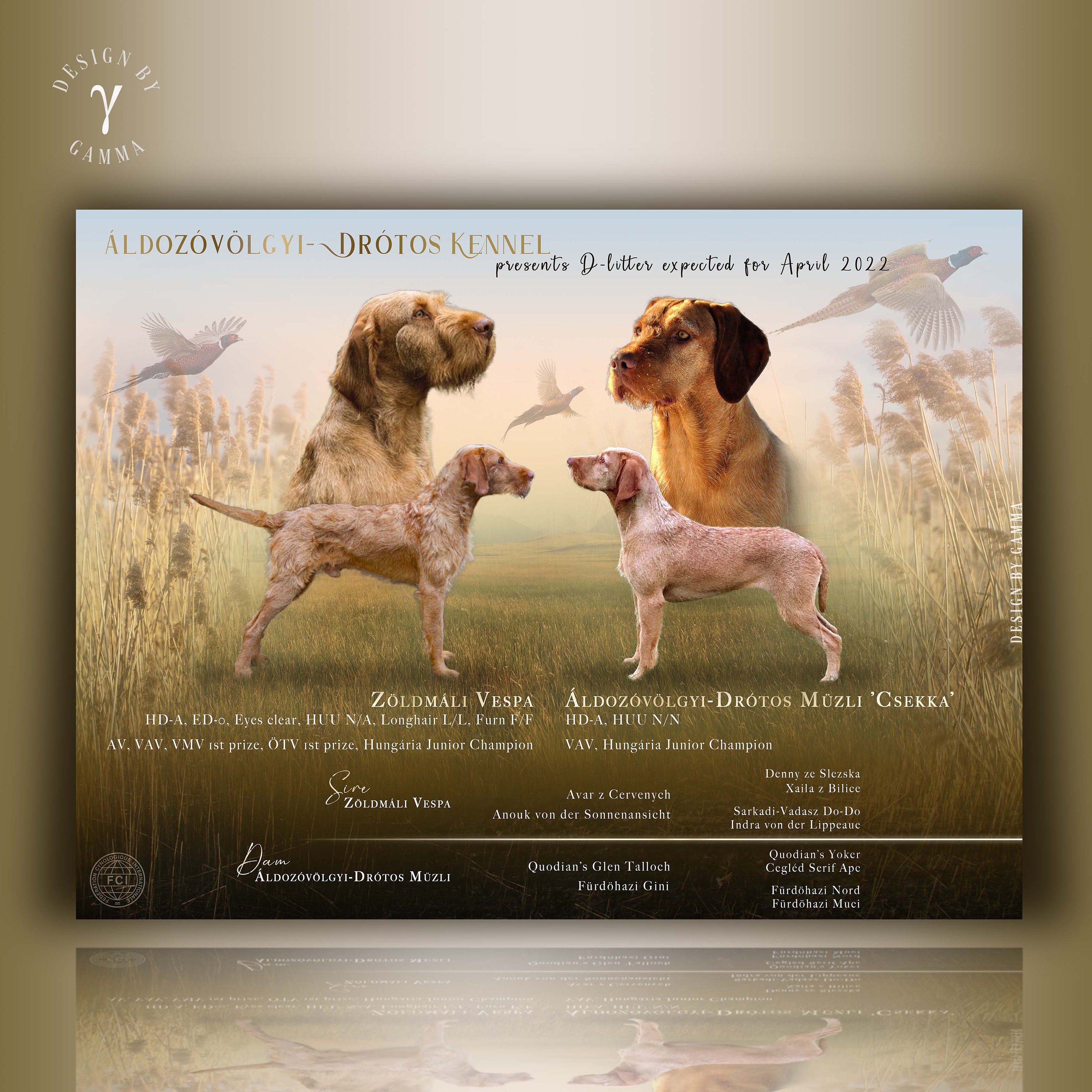 Custom Graphic Design for Breeders Kennel Owners Stud Dog Litter Announcement Advert and Flyer ...