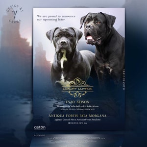 Custom Graphic Design for Breeders | Kennel Owners | Stud Dog | Litter ...