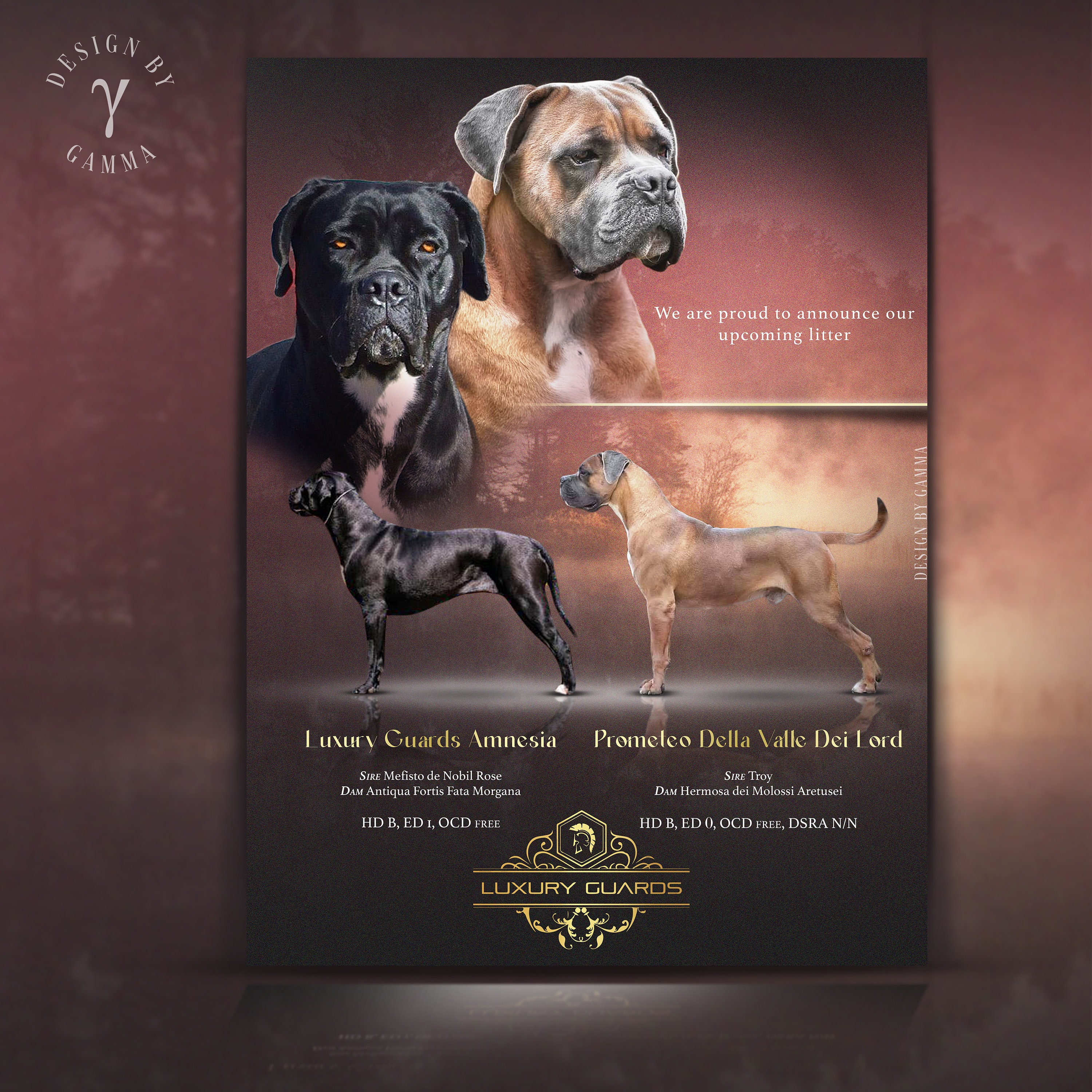 Custom Graphic Design for Breeders Kennel Owners Stud Dog - Etsy