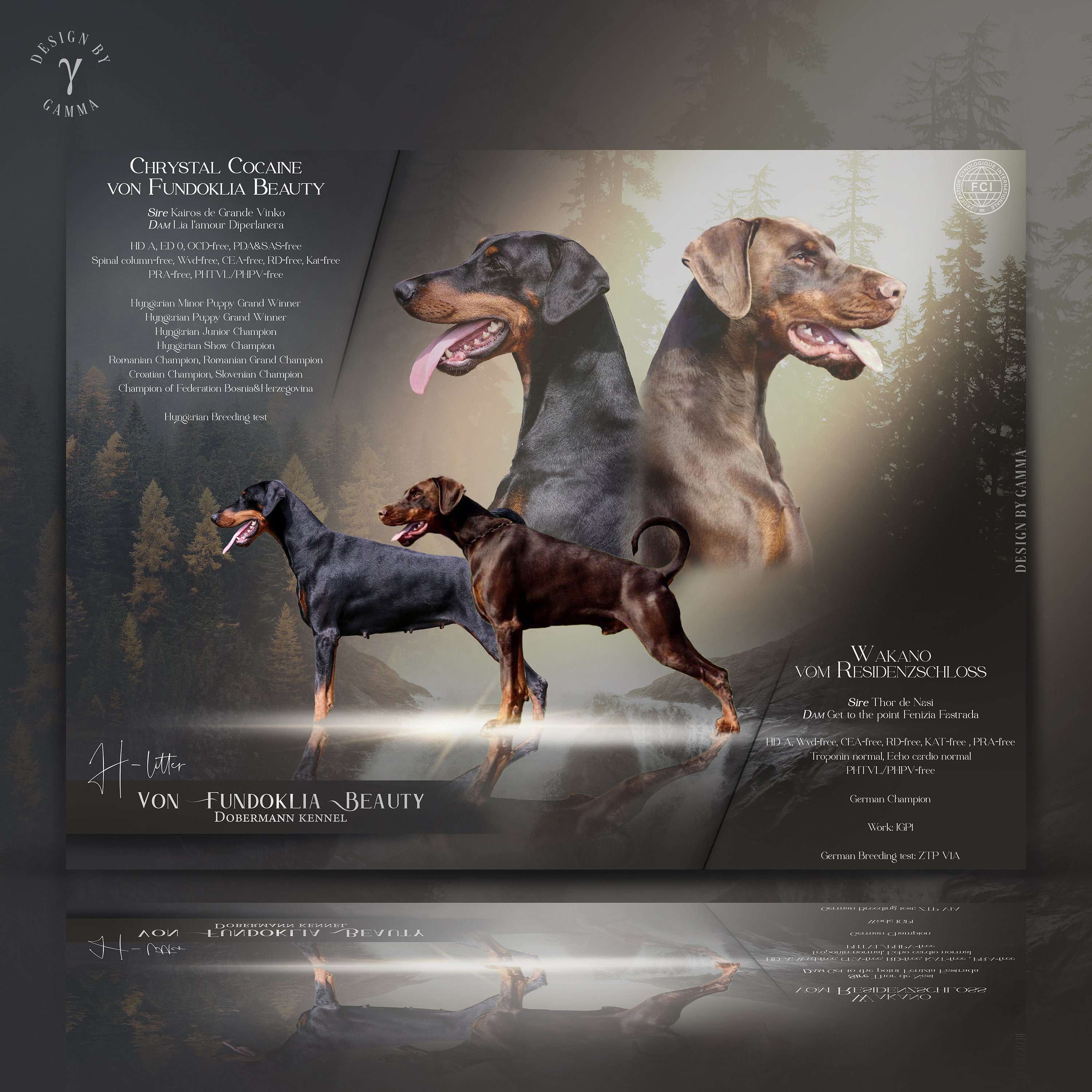 Custom Graphic Design for Breeders Kennel Owners Stud Dog Litter ...