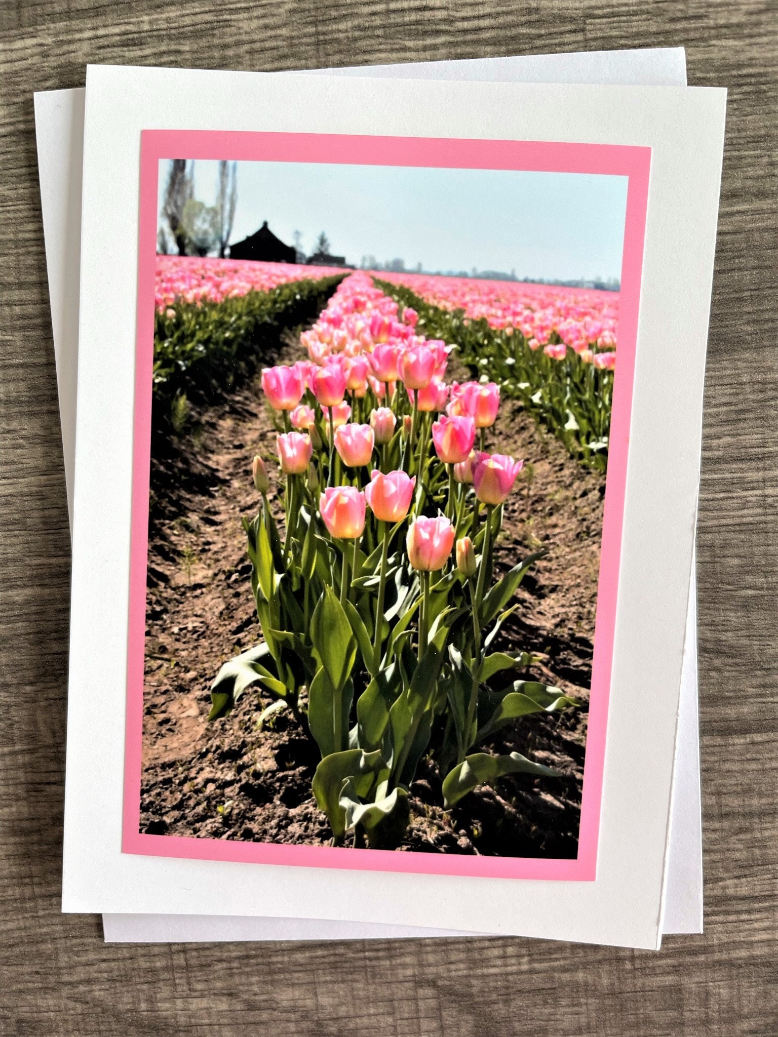 Tulip Cards, Tulip Greeting Cards,tulip Photo Cards, Photo Stationary ...