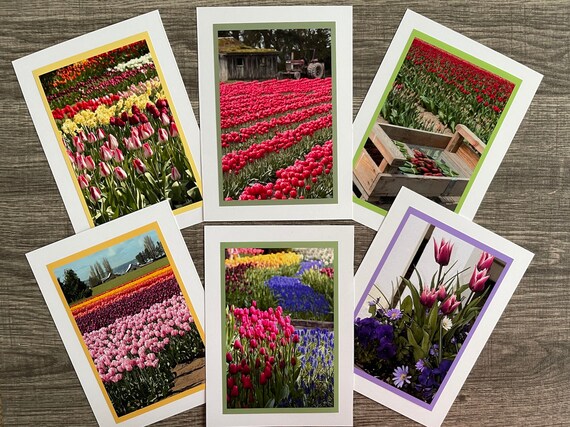 Tulip Cards Tulip Greeting Cards Tulip Photo Cards Photo | Etsy