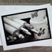 Pasta Cards, Pasta Greeting Cards, Pasta Photo Cards, Photo Stationary ...