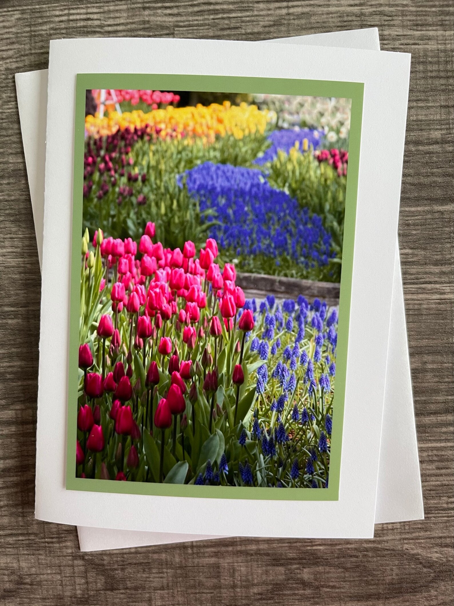 Tulip Cards Tulip Greeting Cards Tulip Photo Cards Photo Stationary ...