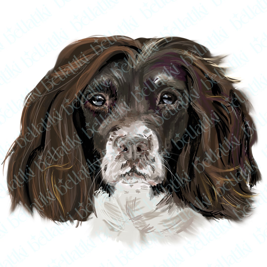 Springer Spaniel Dog PNG: Clip Art Sublimation (commercial Licence) - Etsy