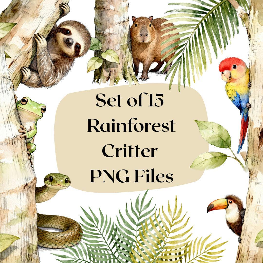 Rainforest Animal Clipart | Watercolor Jungle PNG Bundle (digital ...