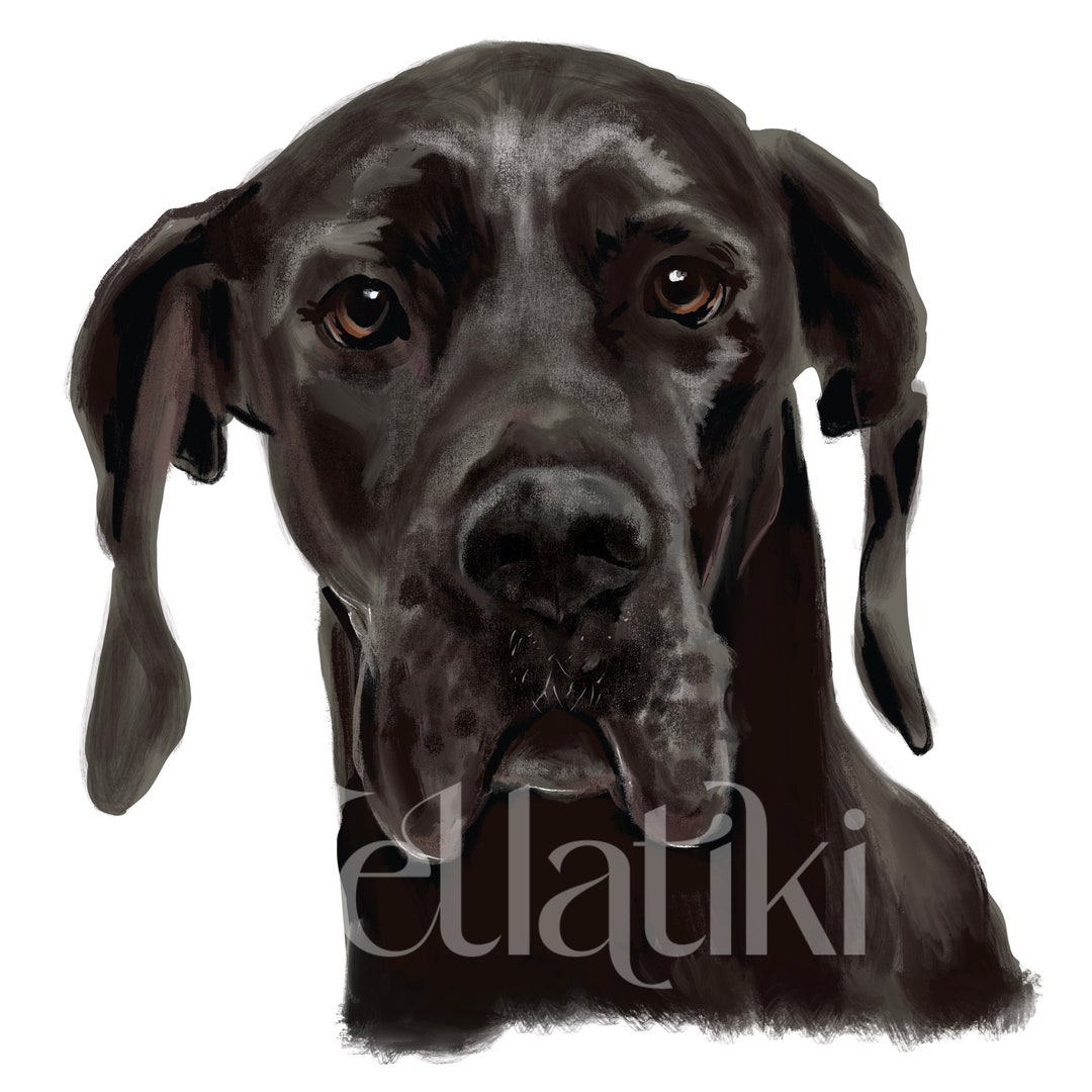 Set of 2 Black Great Dane Dog PNG Files With No Background, Artist ...