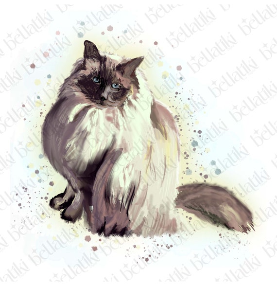 Ragdoll Cat Feline Painting PNG File for Clip Art And/or | Etsy