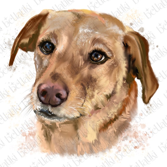 Fox Red Labrador Retriever Dog Artist Painting PNG Files for - Etsy