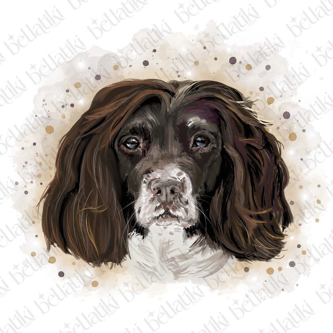 Springer Spaniel Dog PNG Bundle: Clip Art & Mug Templates (commercial ...