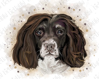 Springer Spaniel Clip Art - Etsy