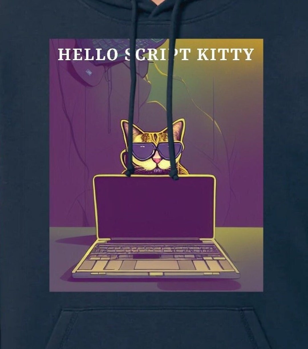 Algorithmic HACKER Cat on a Funny and Comfortable Hoodie, "hello Script ...