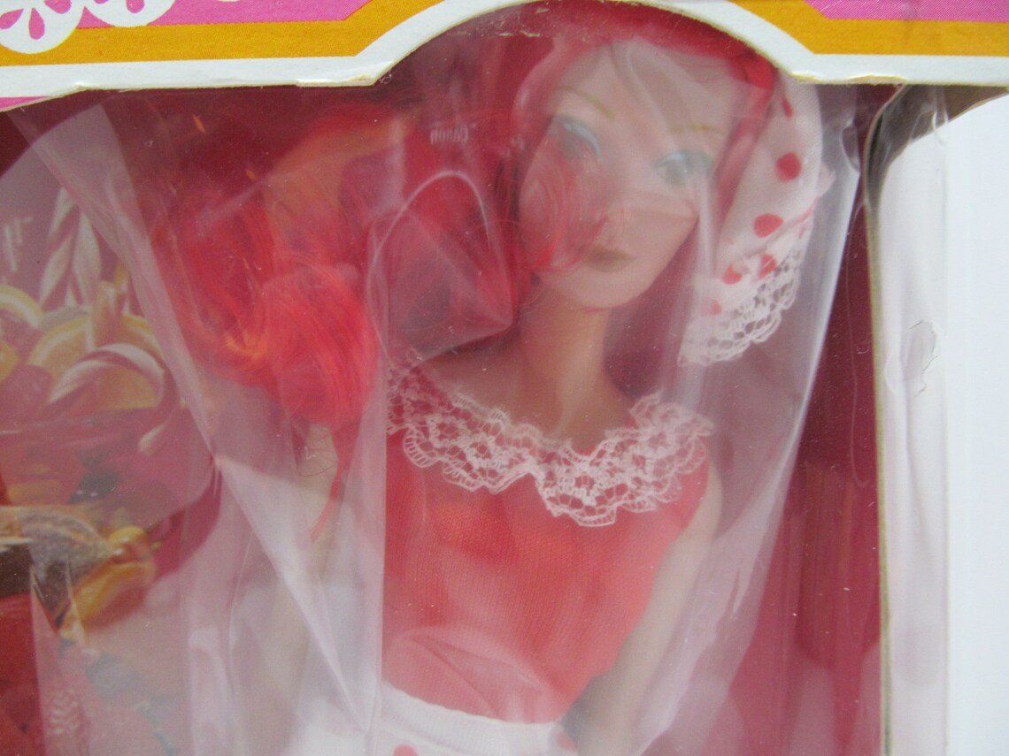 1980 Fashion Candi's Friend Wildberry Scented Hair Doll - Etsy