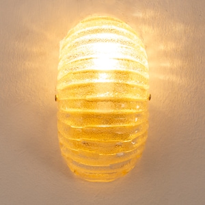 Set of 2 Murano Glass Shell Wall Sconce in Amber Colour With Brass ...