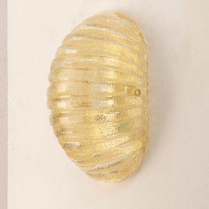 Set of 2 Murano Glass Shell Wall Sconce in Amber Colour With Brass ...