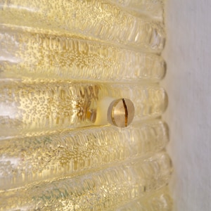 Set of 2 Murano Glass Shell Wall Sconce in Amber Colour With Brass ...