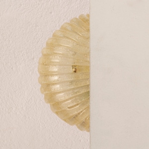 Set of 2 Murano Glass Shell Wall Sconce in Amber Colour With Brass ...