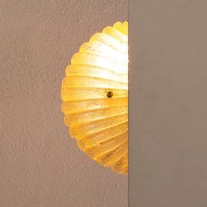 Set of 2 Murano Glass Shell Wall Sconce in Amber Colour With Brass ...