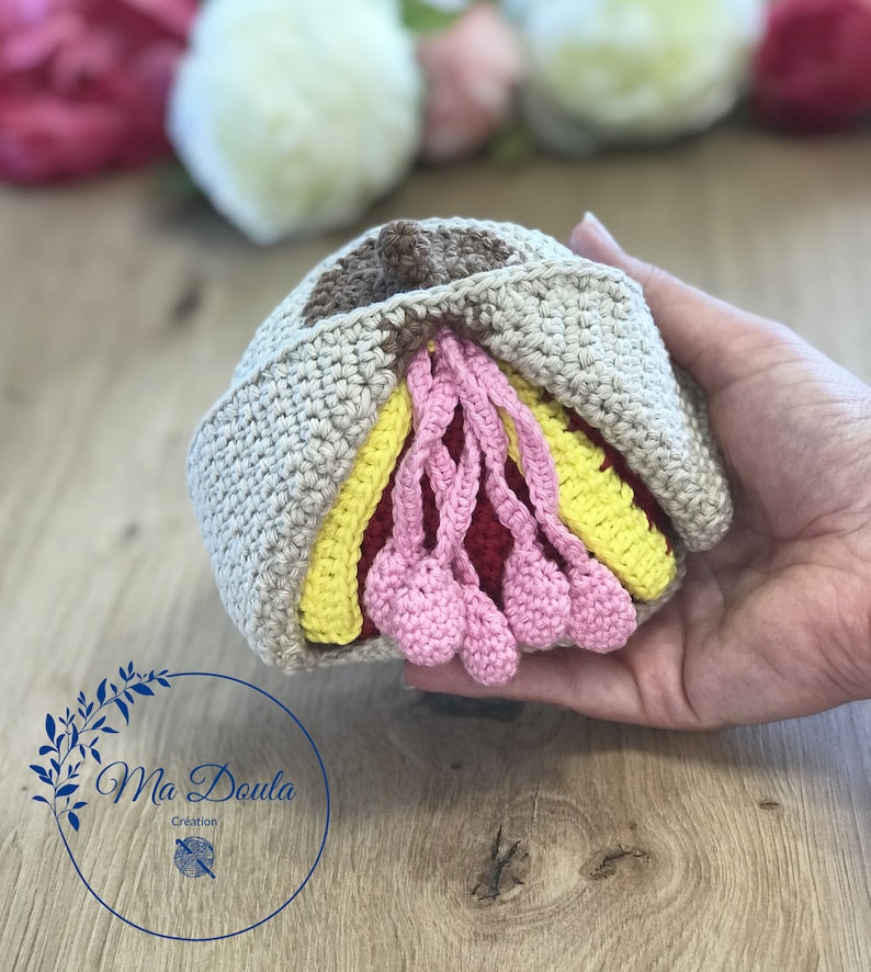 Anatomical Breast Model Breastfeeding Aid Model for Midwife, Doula ...