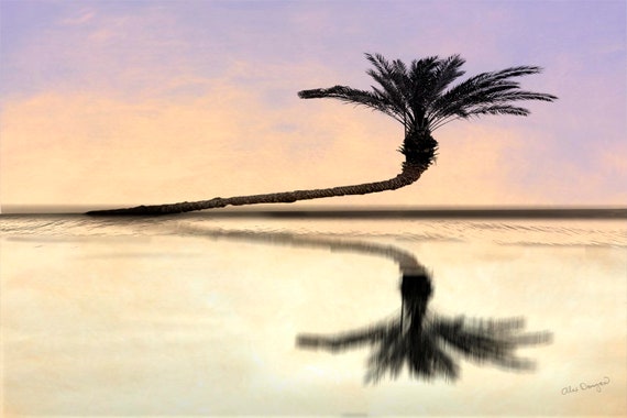 Lonely Palm on Deserted Island Palm Tree Photos Ocean Art - Etsy
