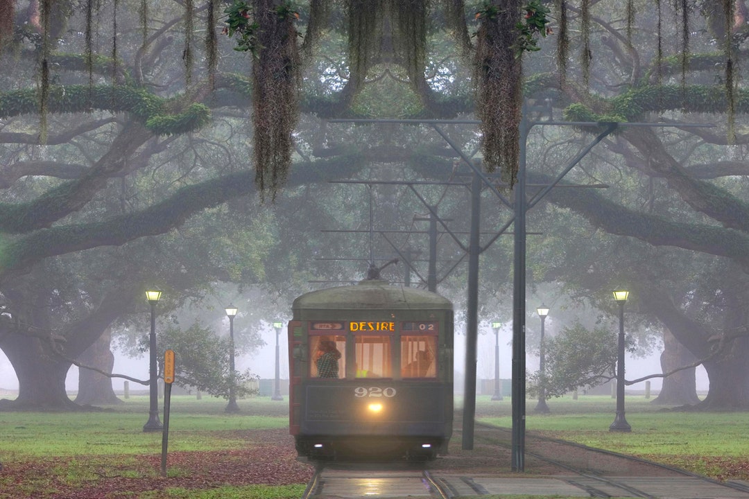 New Orleans Art, Streetcar Named Desire, New Orleans Photography ...