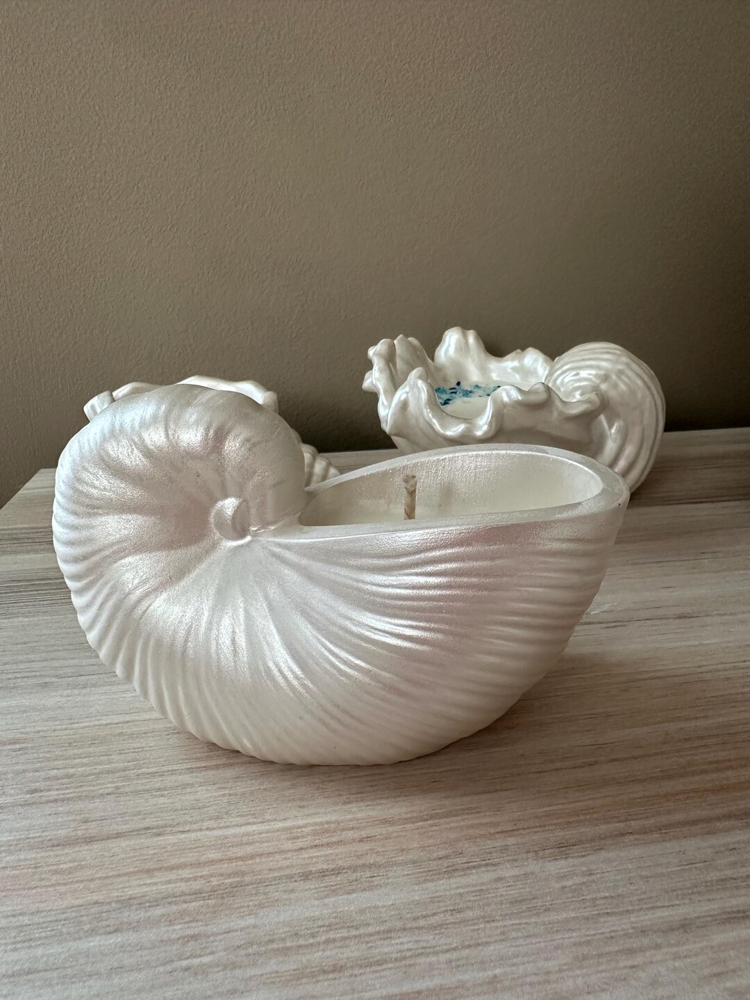 Seashell Candle | Scented Candle | Beach House Decor | Coastal Vibes ...