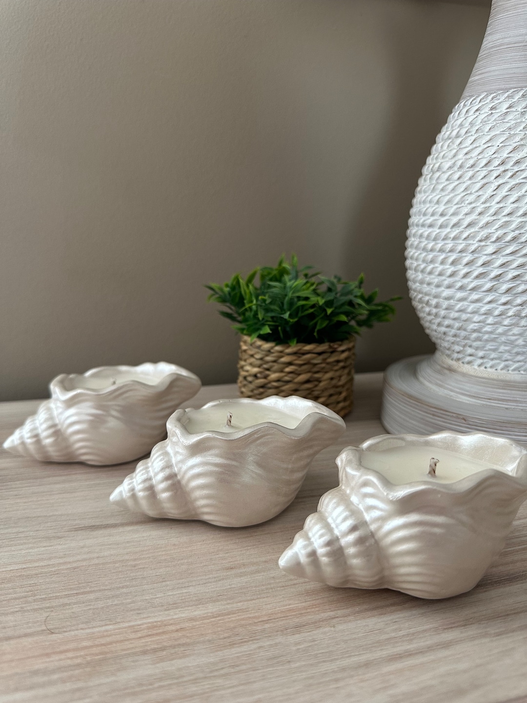 Seashell Candle | Ocean Candle | Coastal Decor | Housewarming Gift ...
