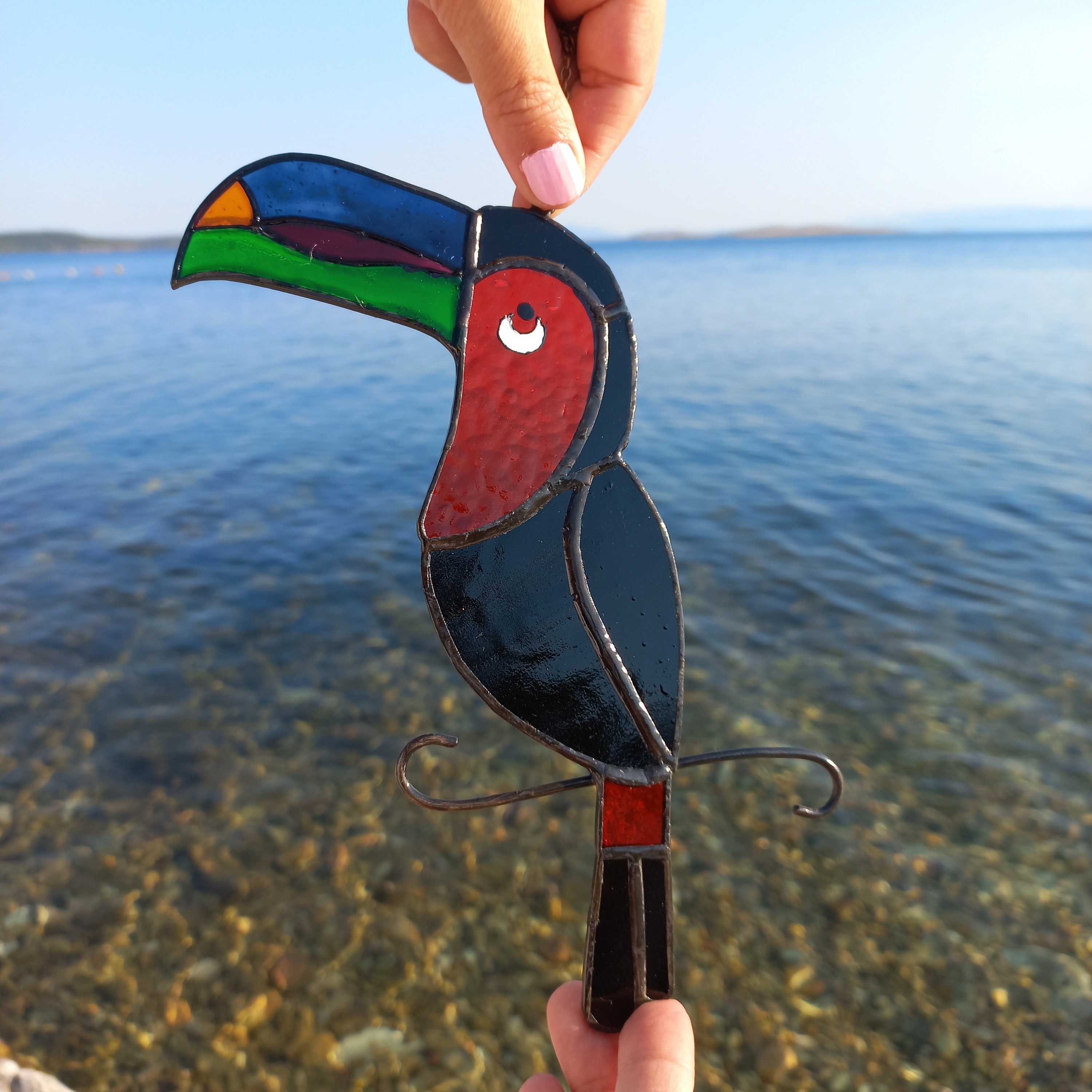 Tucano Dal Becco A Chiglia Che Vola
