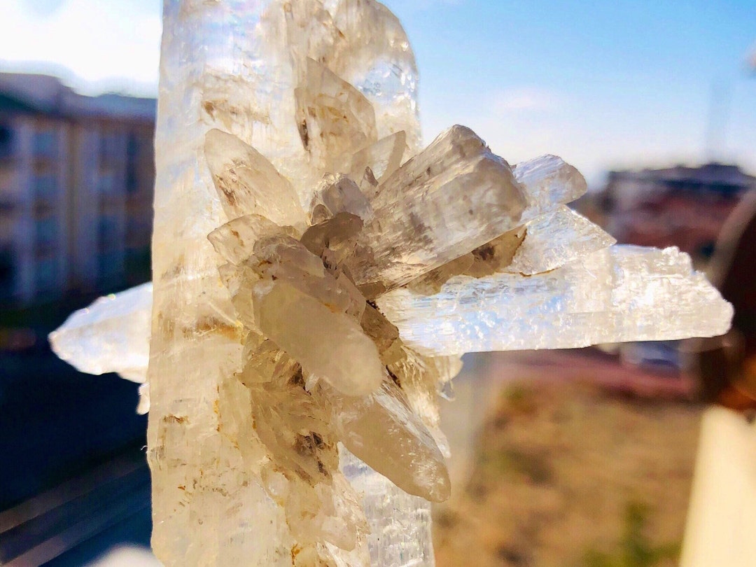 Unique Formation of Selenite Crystal - Rare and Super Showy Collector ...