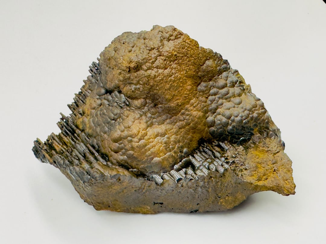 Showy 'golden Hematite' Specimen With Sculptural Botryoidal and ...